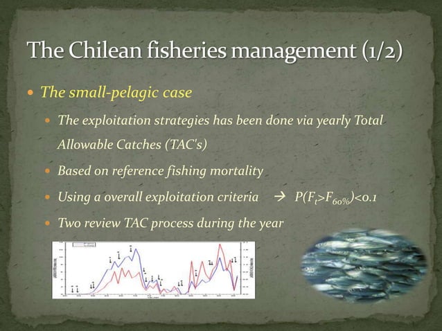 Towards An Integrated Ecosystem Based Management | PPT