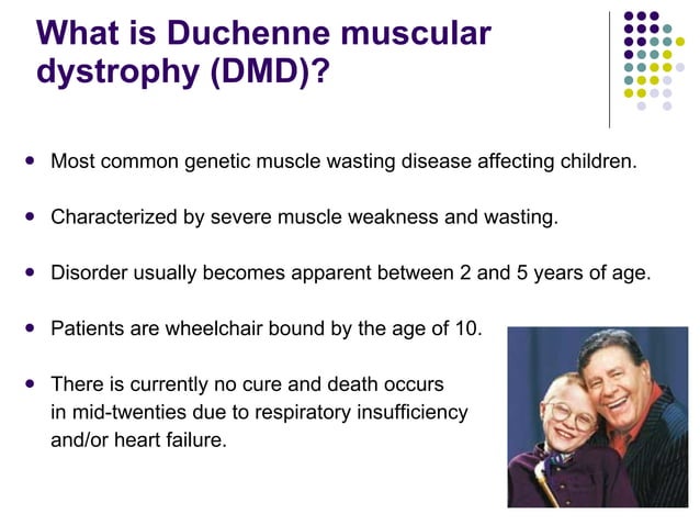Towards Gene Therapy For Duchenne Muscular Dystrophy Heart Disease ...