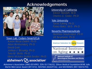 Terrence Town - Neuroinflammation | PDF