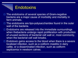 Toxemia and endotoxemia | PDF