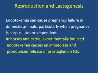 TOXEMIA AND ENDOTOXEMIA.pptx