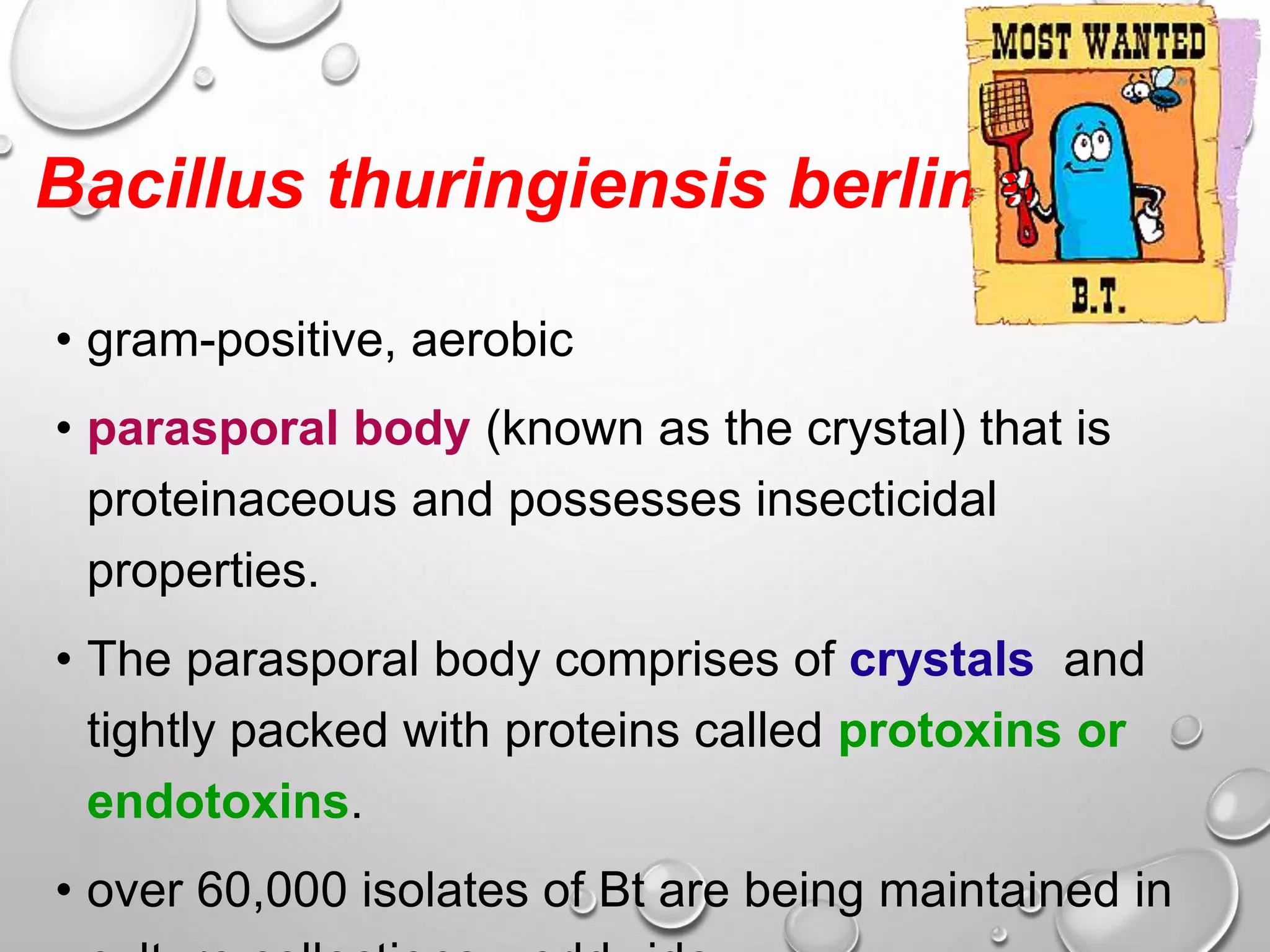 microbial insecticides | PPTX