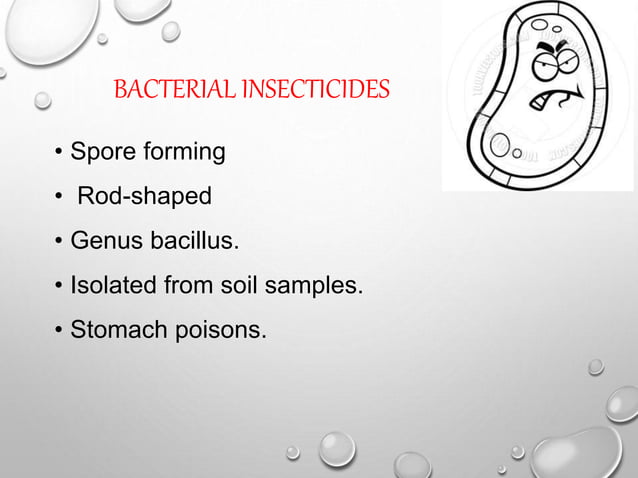 microbial insecticides | PPTX