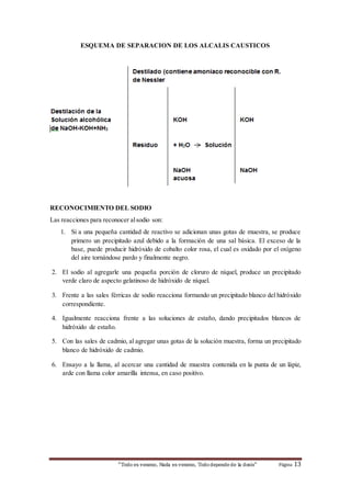 INTOXICACIÓN POR HIDRÓXIDO DE SODIO | DOCX