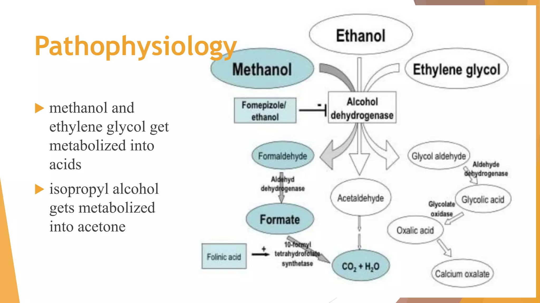 Toxic Alcohol.pptx