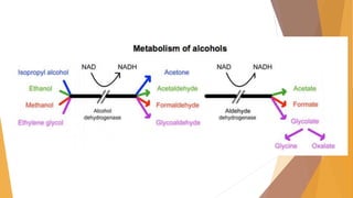 Toxic Alcohol.pptx