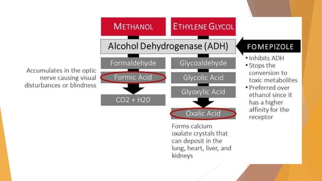 Toxic Alcohol.pptx