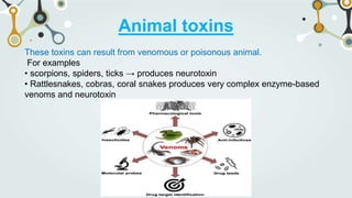 Toxic Chemicals ^0 their effects in human | PPTX