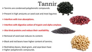 Toxic Constituents of Pulses | PPTX