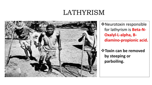 Toxic Constituents of Pulses | PPTX