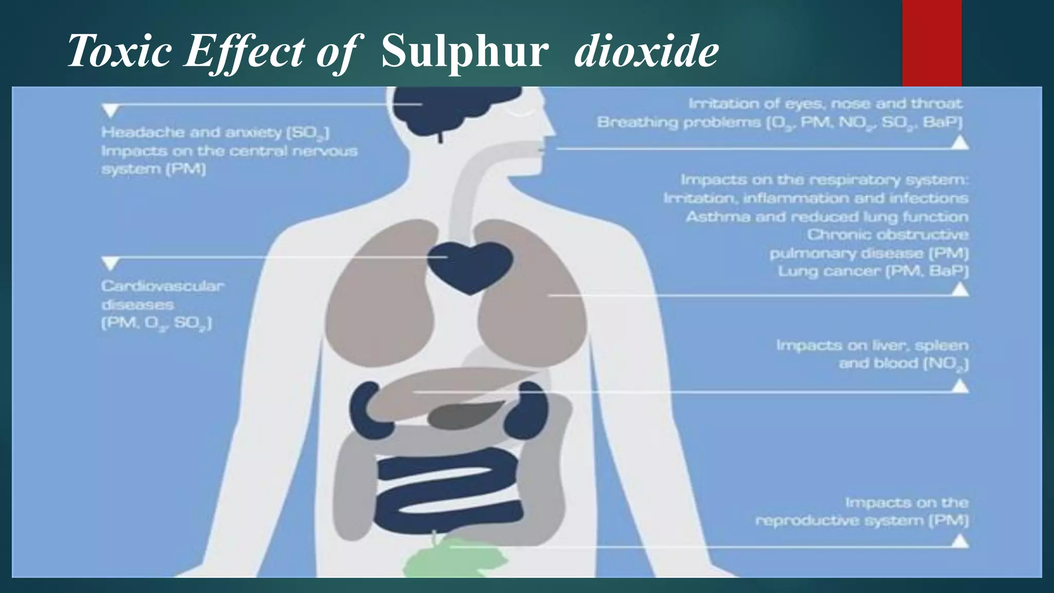 Toxic effect of sulphur dioxide | PDF