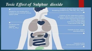 Toxic effect of sulphur dioxide | PDF