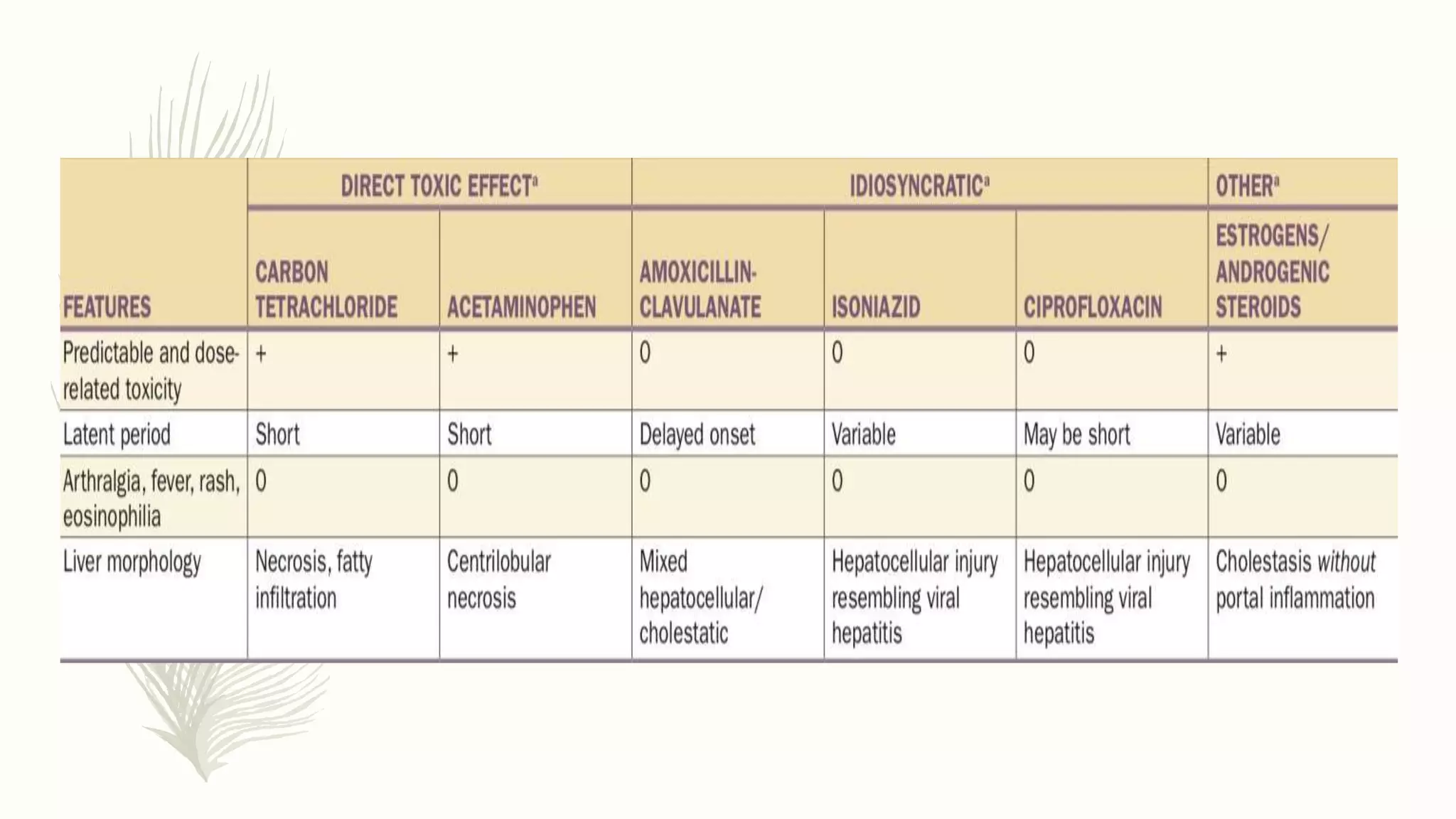 Toxic and drug induced hepatitis | PPTX