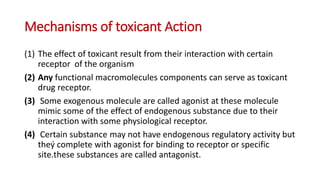 toxicity and mechanism of toxicant action.pptx | Chemistry | Science