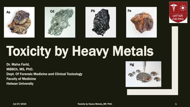 Toxicity by Heavy Metals | PPTX | Digestive Disorders | Diseases and ...