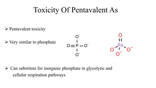 Toxicity of arsenic | PPTX