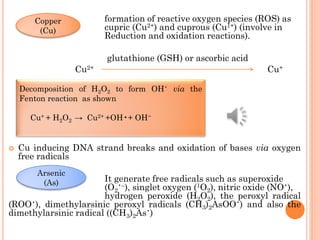 Toxicity_of_heavy_metals.pdfhjjcghkjbggkjh | PDF