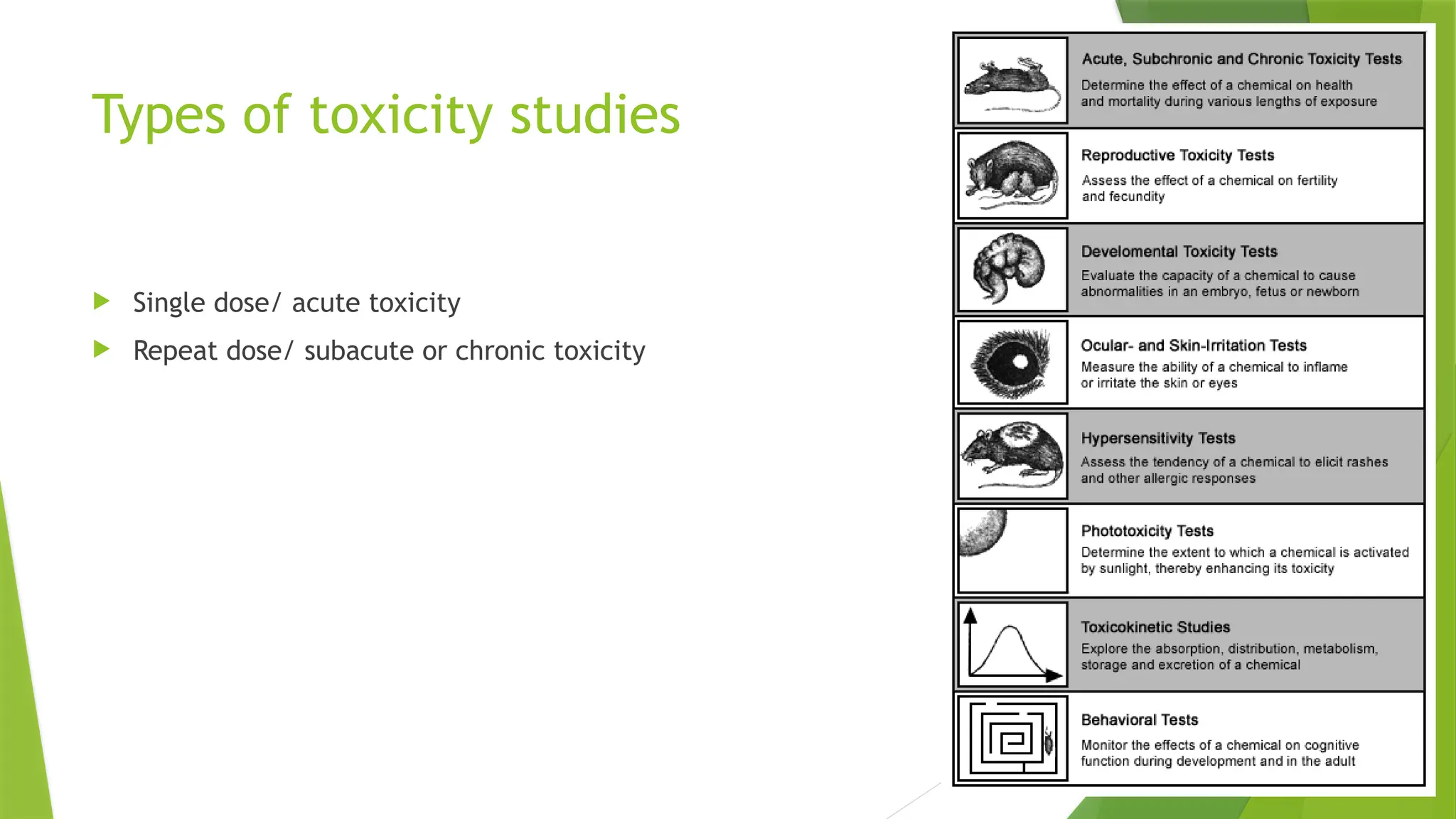Toxicity studies.pptx and its guidelines | PPTX
