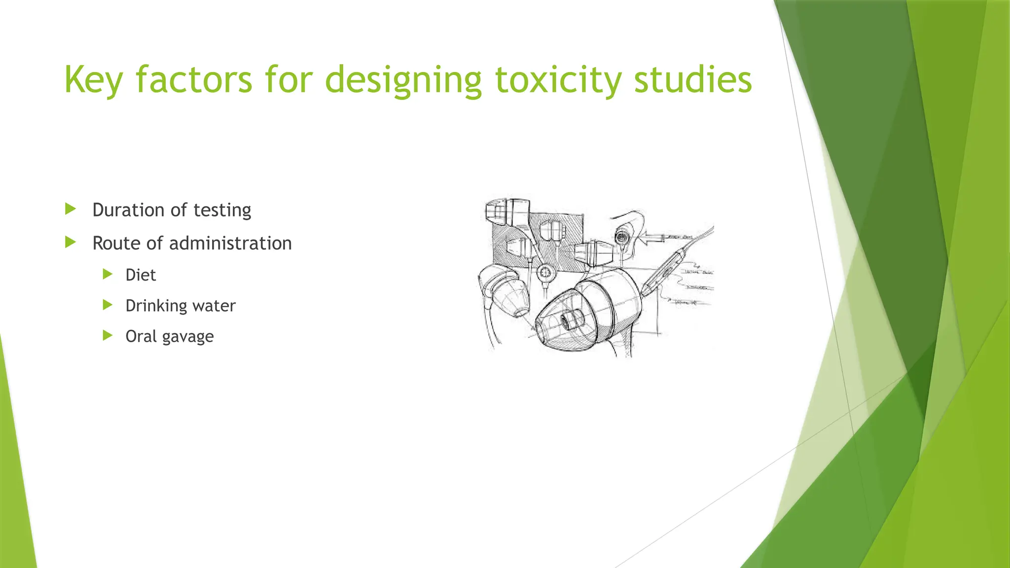Toxicity studies.pptx and its guidelines | PPTX