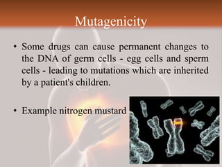 Toxicity studies of drug | PPTX