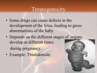 Toxicity studies of drug | PPTX
