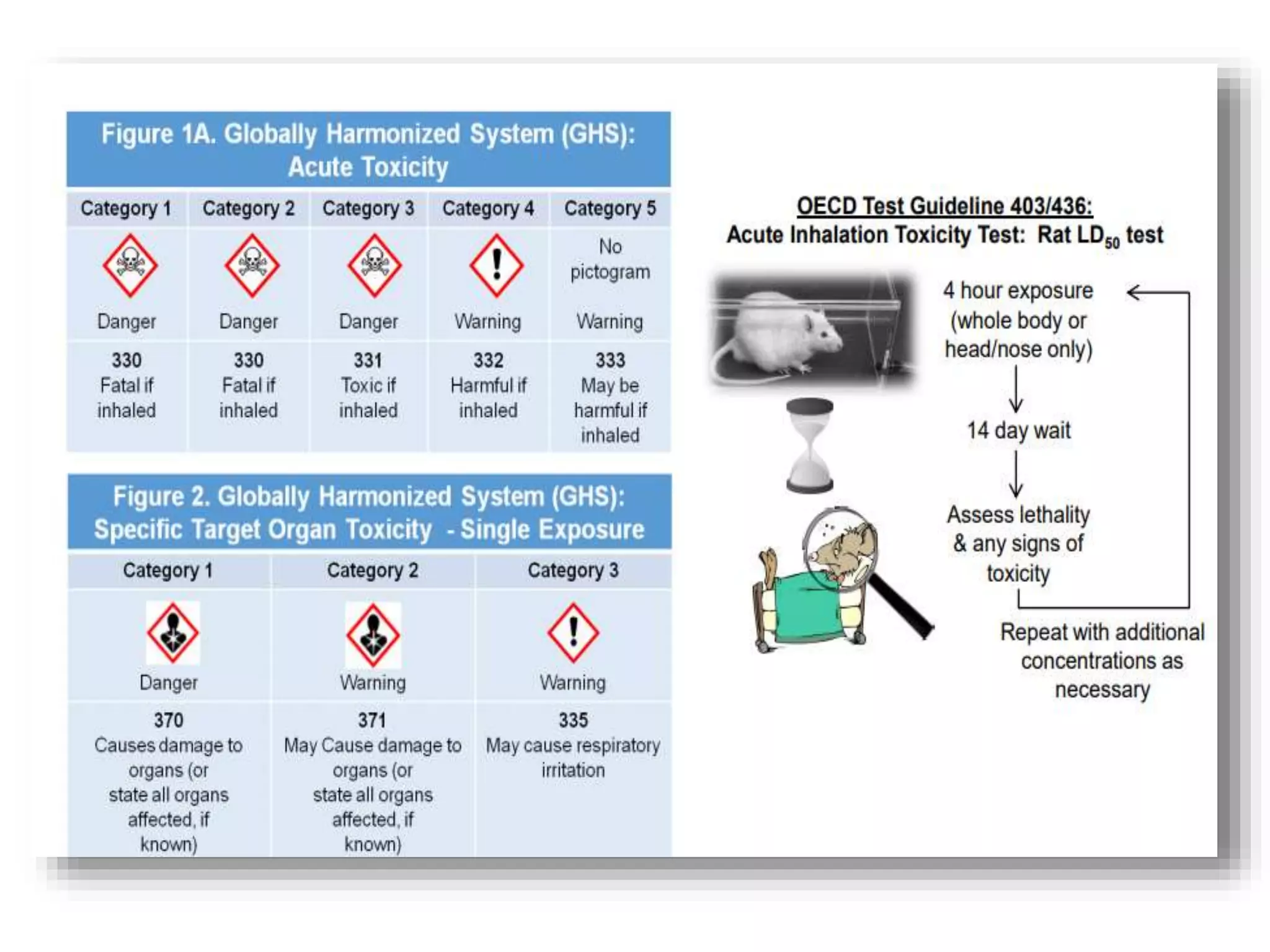 Inhalation Toxicity Studies- OECD guidelines | PPTX