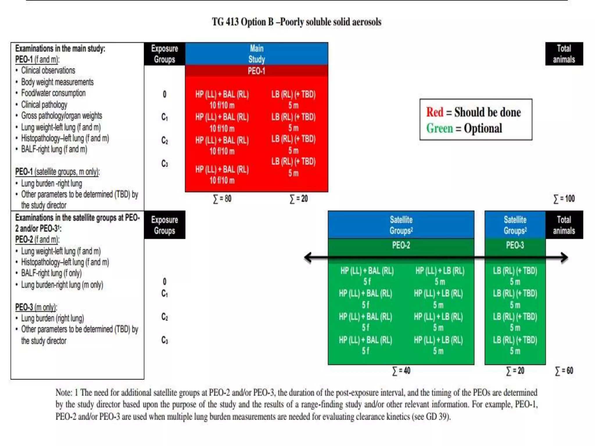 Inhalation Toxicity Studies- OECD guidelines | PPTX