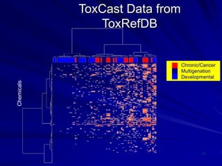 Toxicity testing | PPT