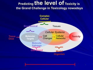 Toxicity testing | PPT