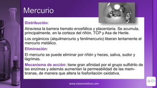Toxicología Mercurio | PPTX