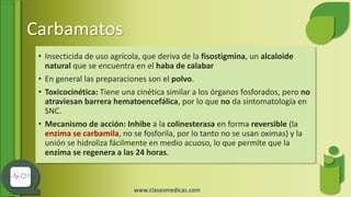 Pesticidas Carbamatos | PPTX