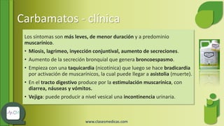 Pesticidas Carbamatos | PPTX