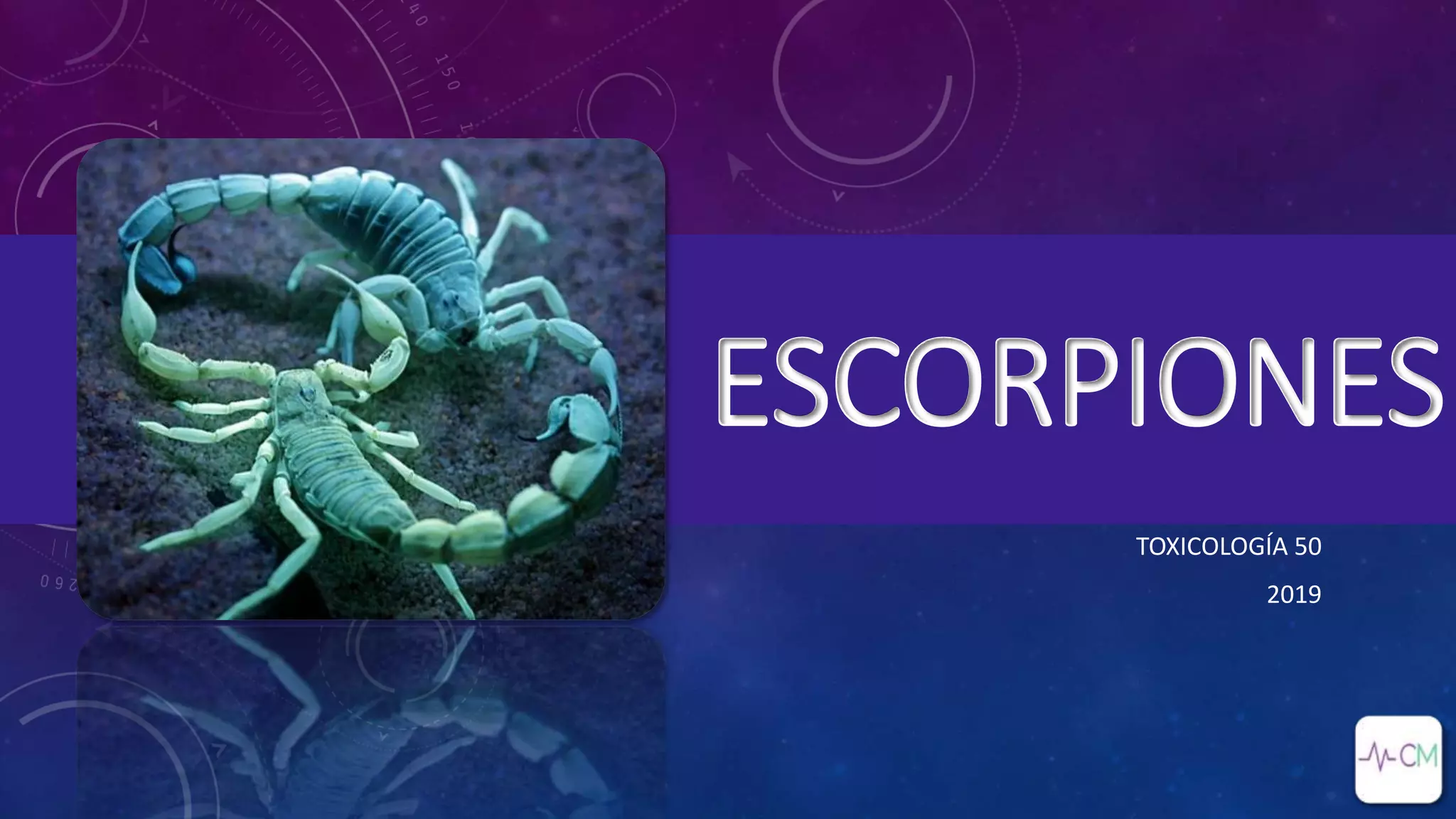 Escorpiones | PPT