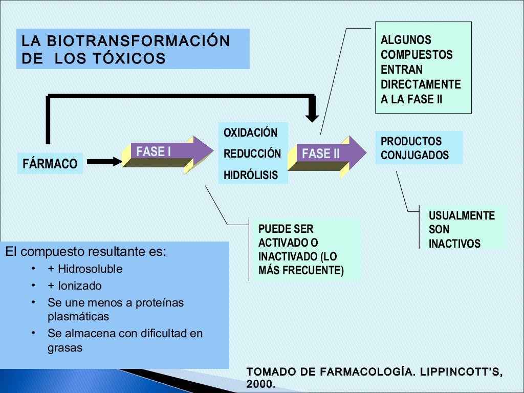 Toxicocinética y toxicodinamia