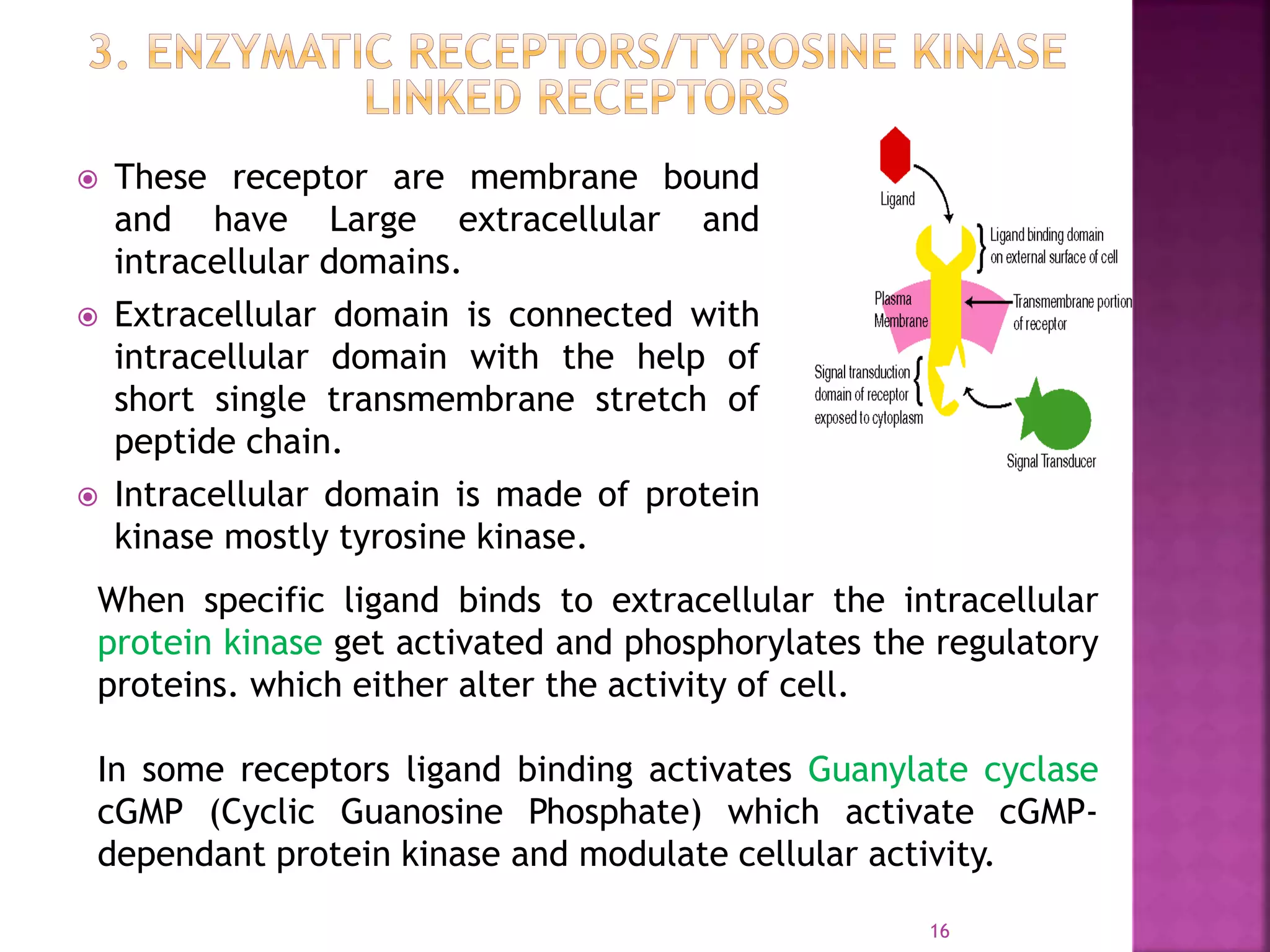 Toxicodynamics or pharmacodynamics | PPTX