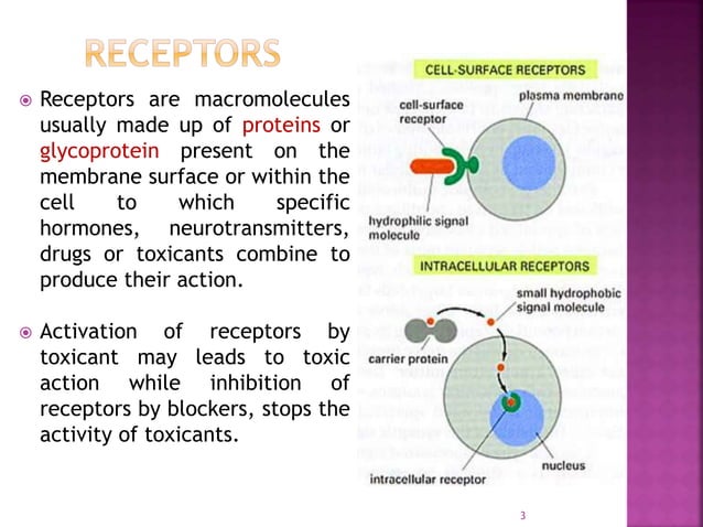 Toxicodynamics or pharmacodynamics | PPTX | Chemistry | Science