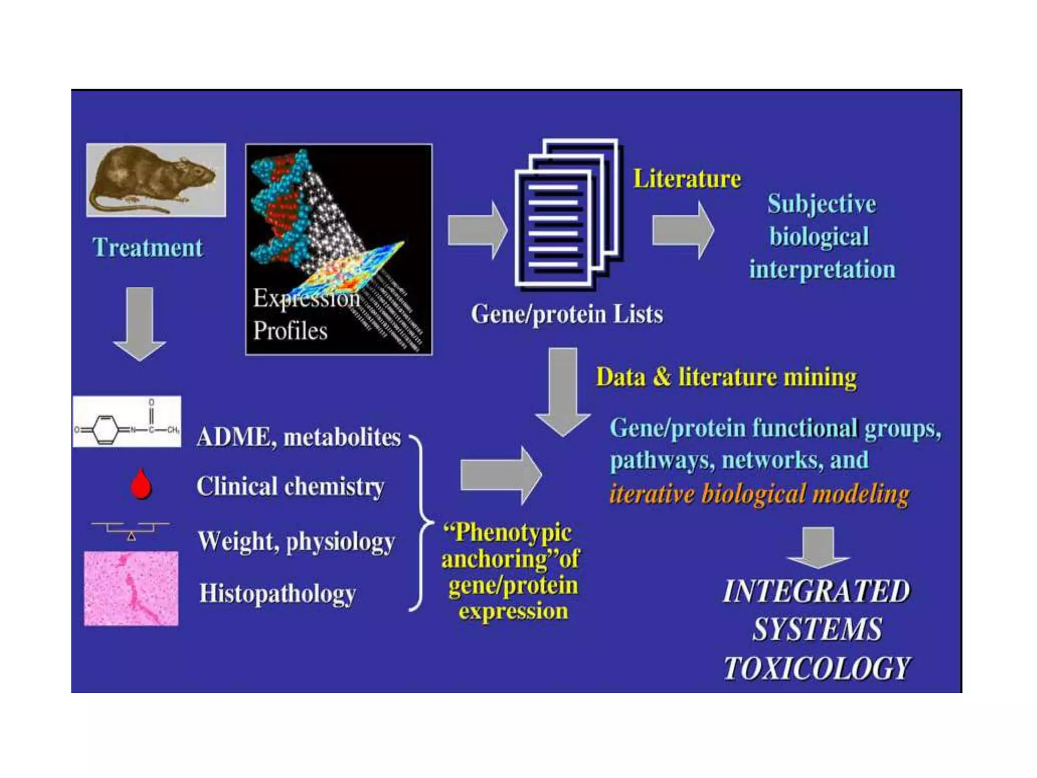 Toxicogenomics | PPTX