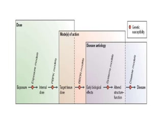 Toxicogenomics | PPTX