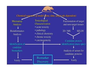 Toxicogenomics | PPTX