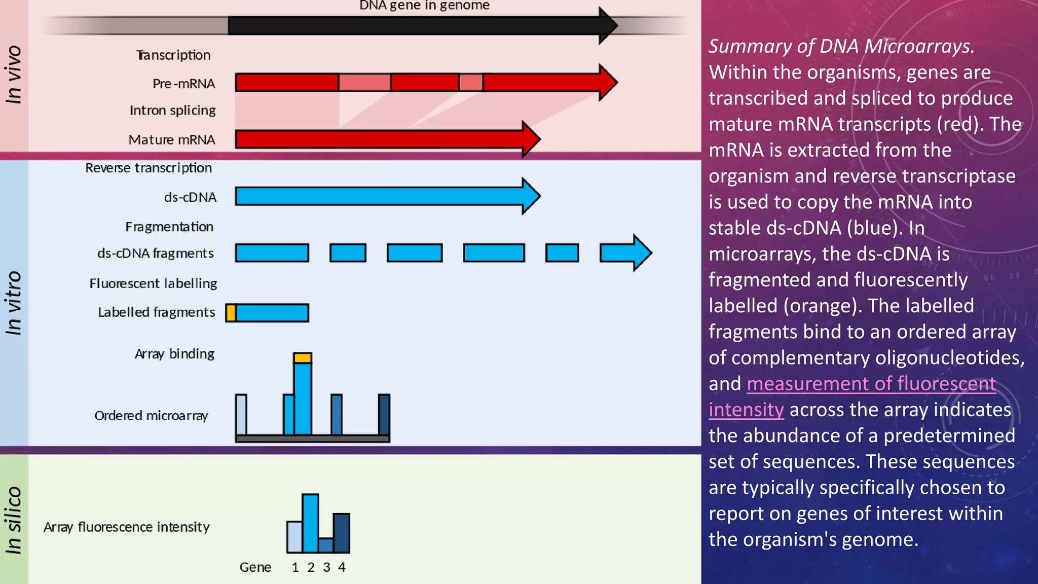 Toxicogenomics: microarray | PPTX