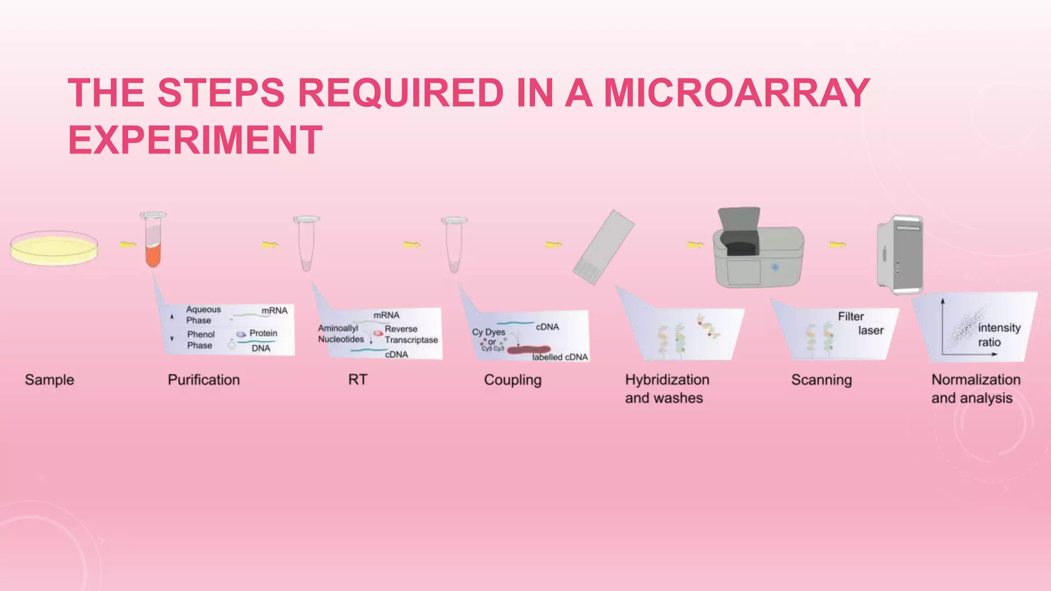 Toxicogenomics: microarray | PPTX