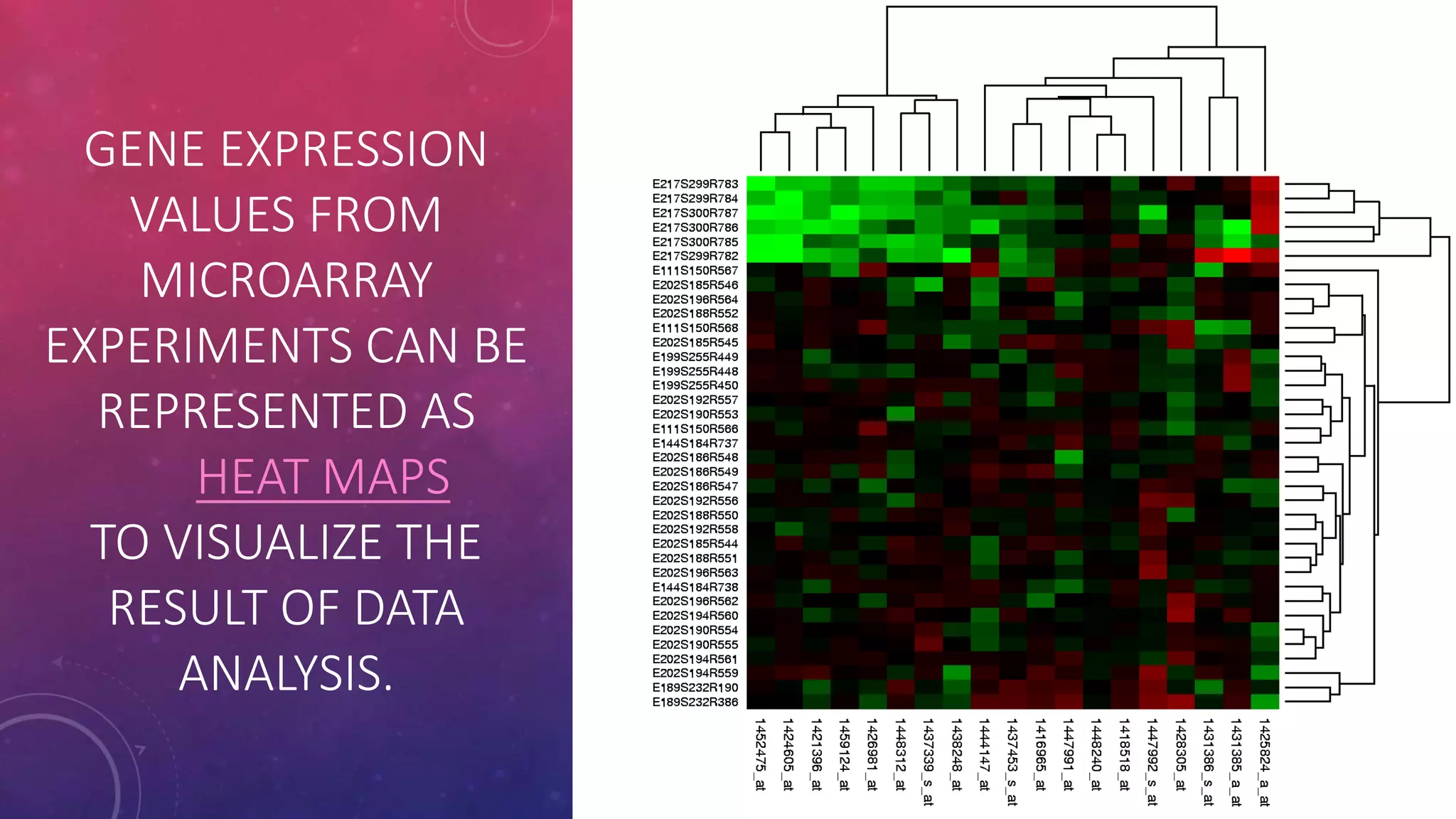 Toxicogenomics: microarray | PPTX