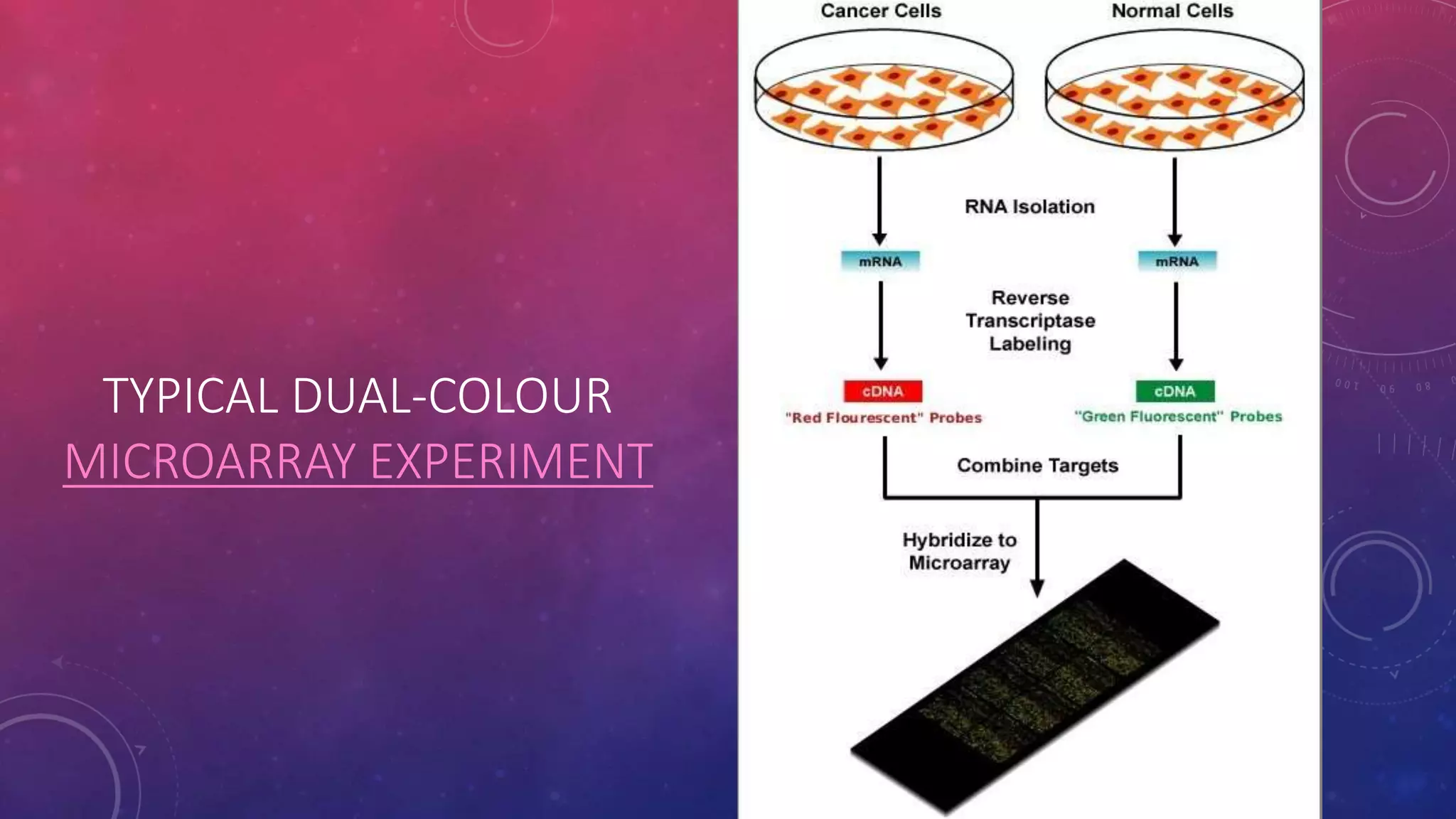 Toxicogenomics: microarray | PPTX