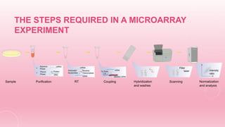 Toxicogenomics: microarray | PPTX