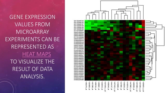 Toxicogenomics: microarray | PPTX | Biological Sciences | Science