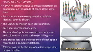 Toxicogenomics: microarray | PPTX