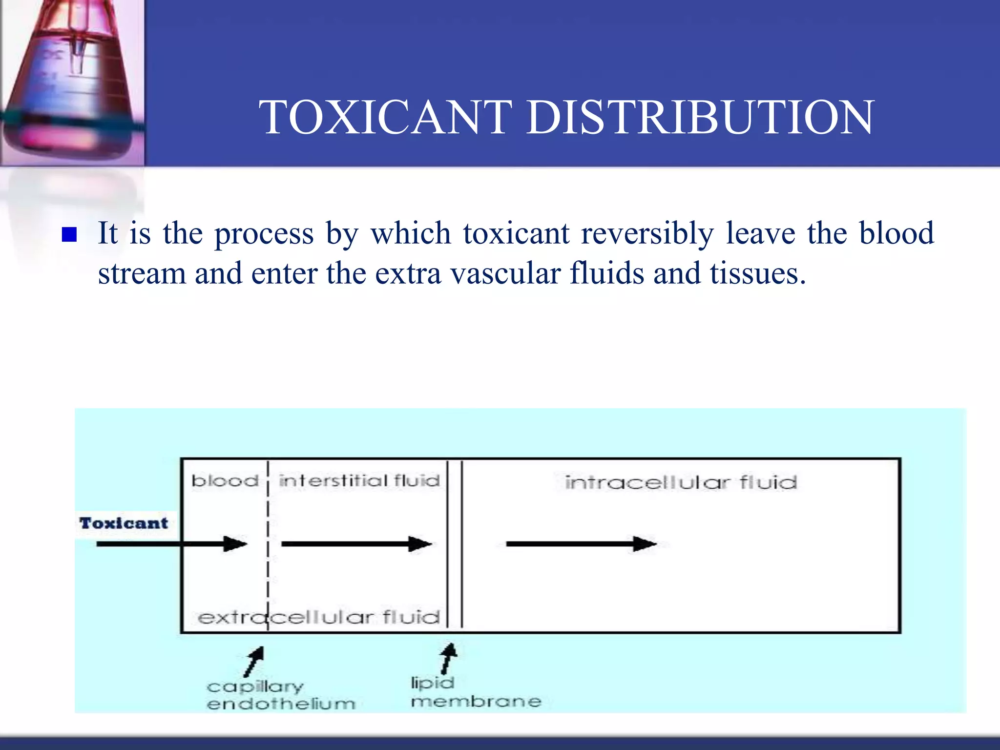 Toxicokinetics or pharmacokinetics | PPT