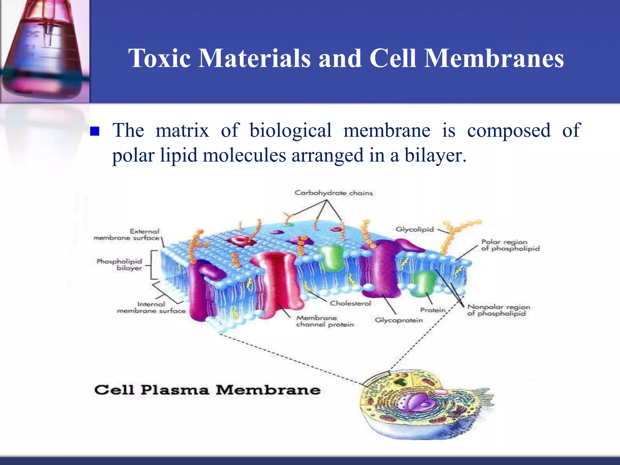 Toxicokinetics or pharmacokinetics | PPT