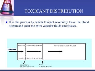 Toxicokinetics or pharmacokinetics | PPT
