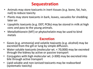 ToxicokineticsToxicodynamics.pptx